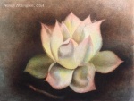 Flower Art Inspiration - Floral Designs, Watercolors, Acrylic Paintings